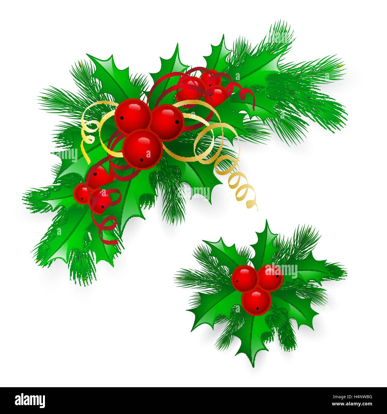 Vector Christmas holly with berries Stock Vector Image & Art - Alamy