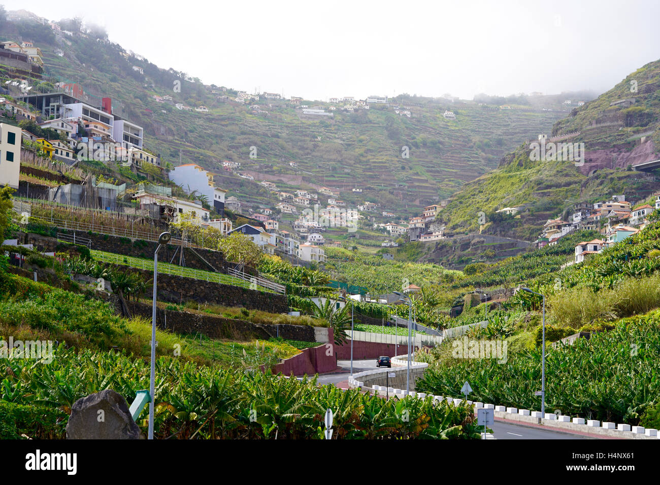 Madeira terraces hi-res stock photography and images - Alamy