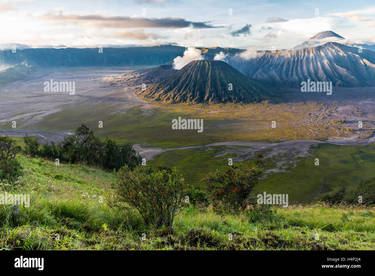 Mount Bromo volcano at morning, the steaming crater of Mount Bromo ...