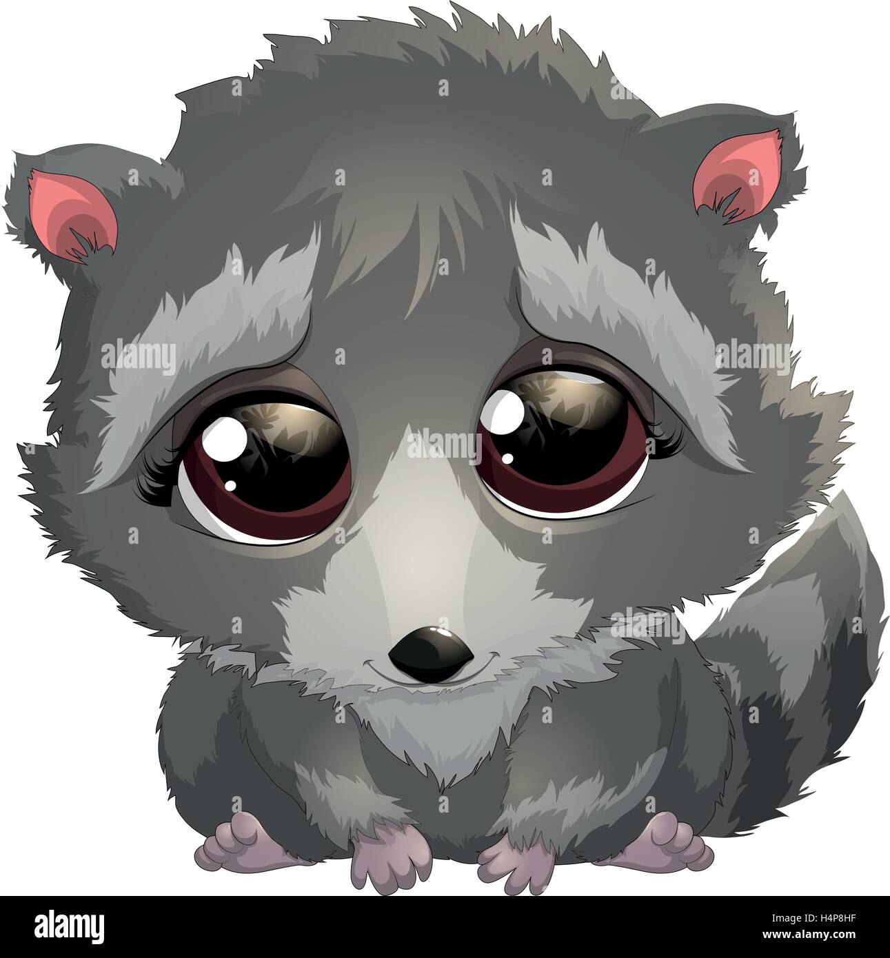 beautiful gray raccoon Stock Vector Image & Art - Alamy