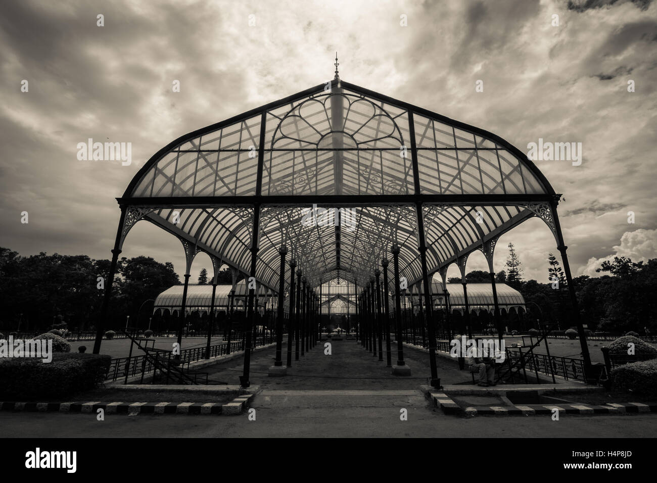 Fine structure hi-res stock photography and images - Alamy