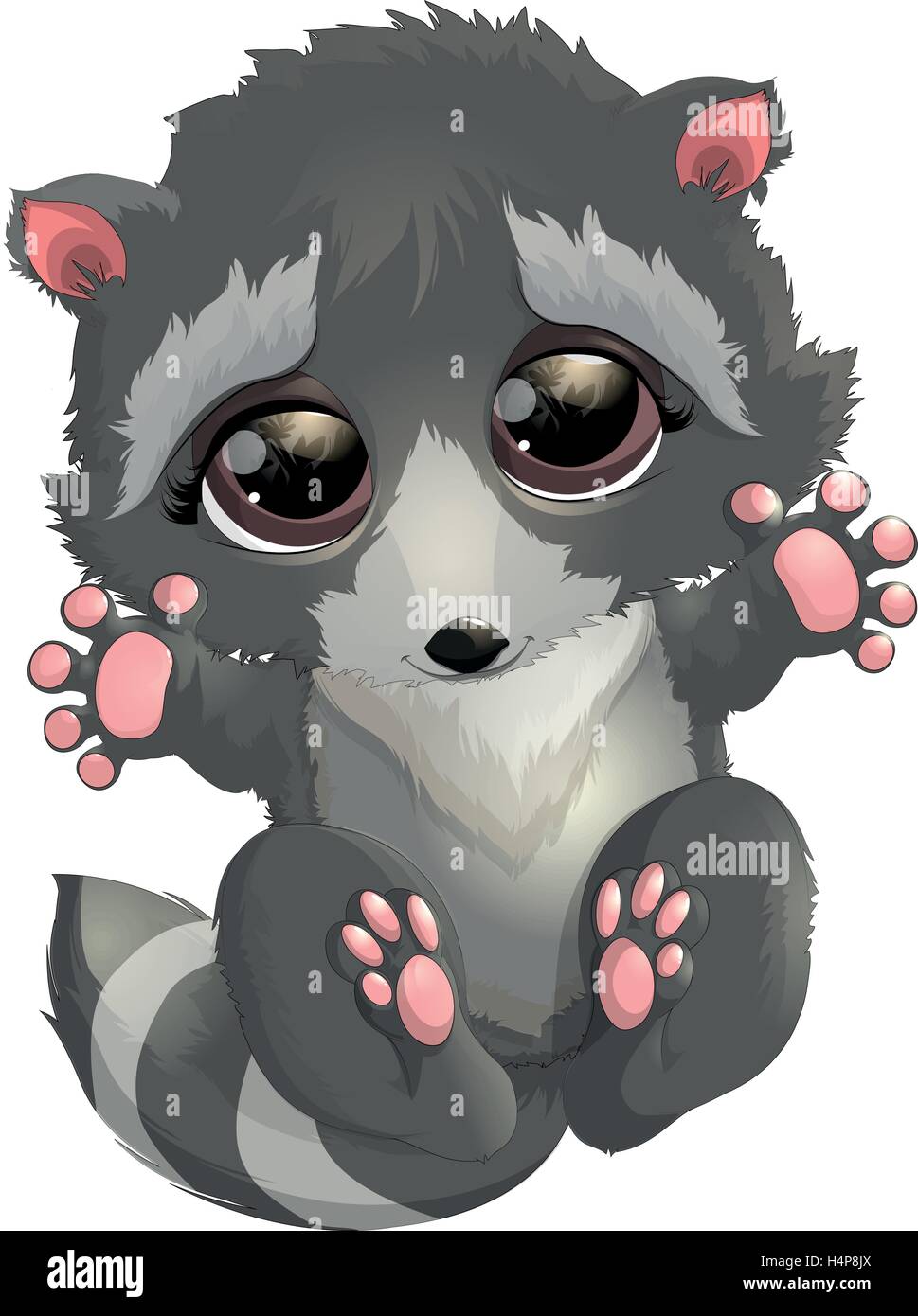 beautiful gray raccoon Stock Vector Image & Art - Alamy