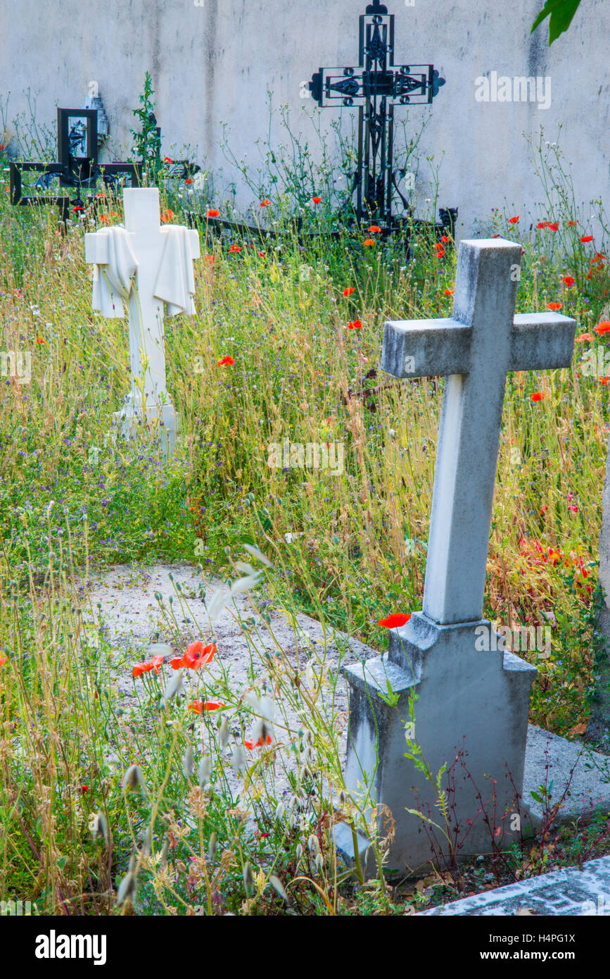 Graves in an abandoned graveyard Stock Photo - Alamy