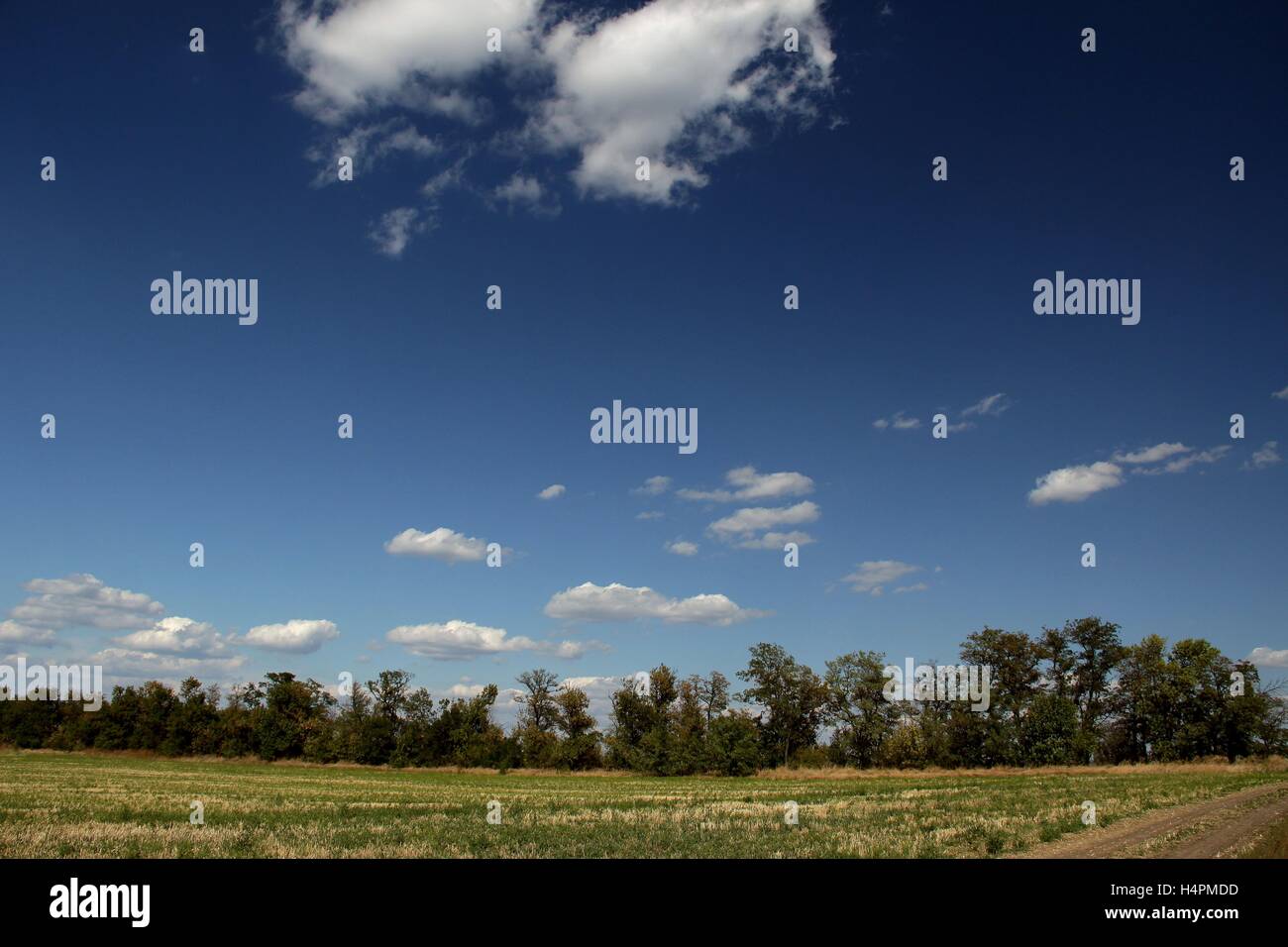 Panoramic fields under blue sky Stock Photo - Alamy