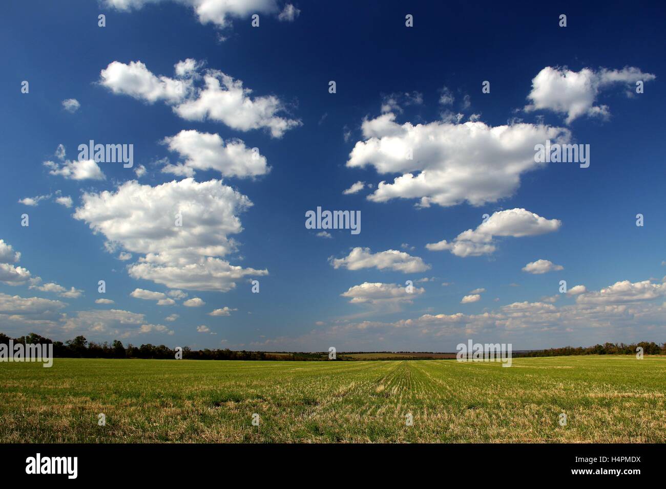 Panoramic fields under blue sky Stock Photo - Alamy