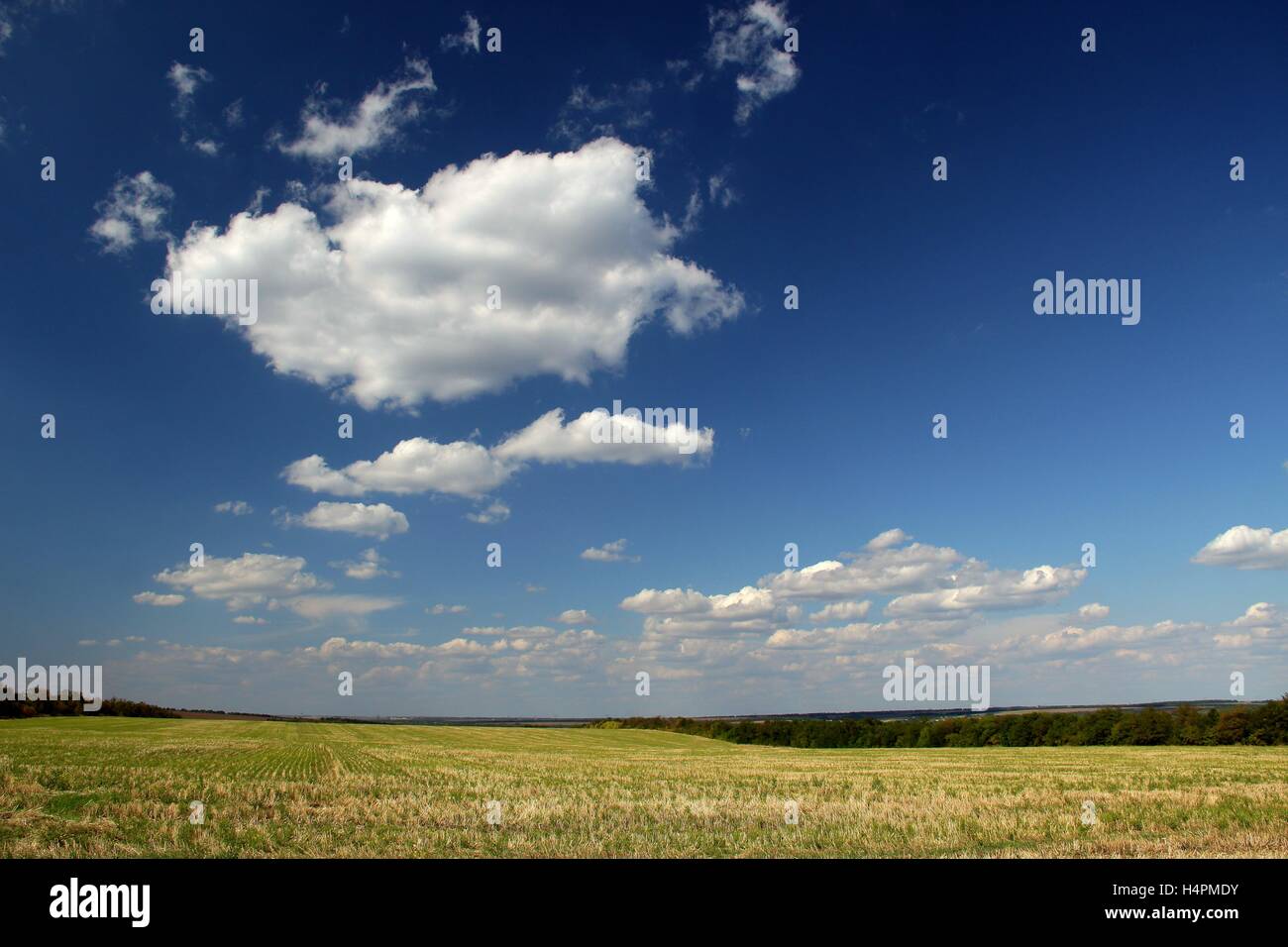 Panoramic fields under blue sky Stock Photo - Alamy