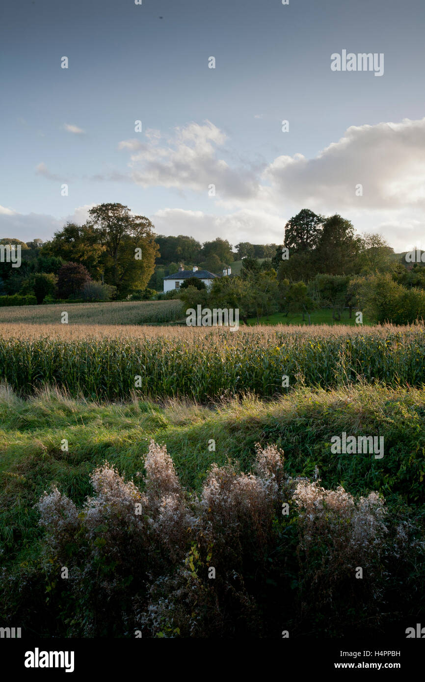 Golden valley river dore hi-res stock photography and images - Alamy