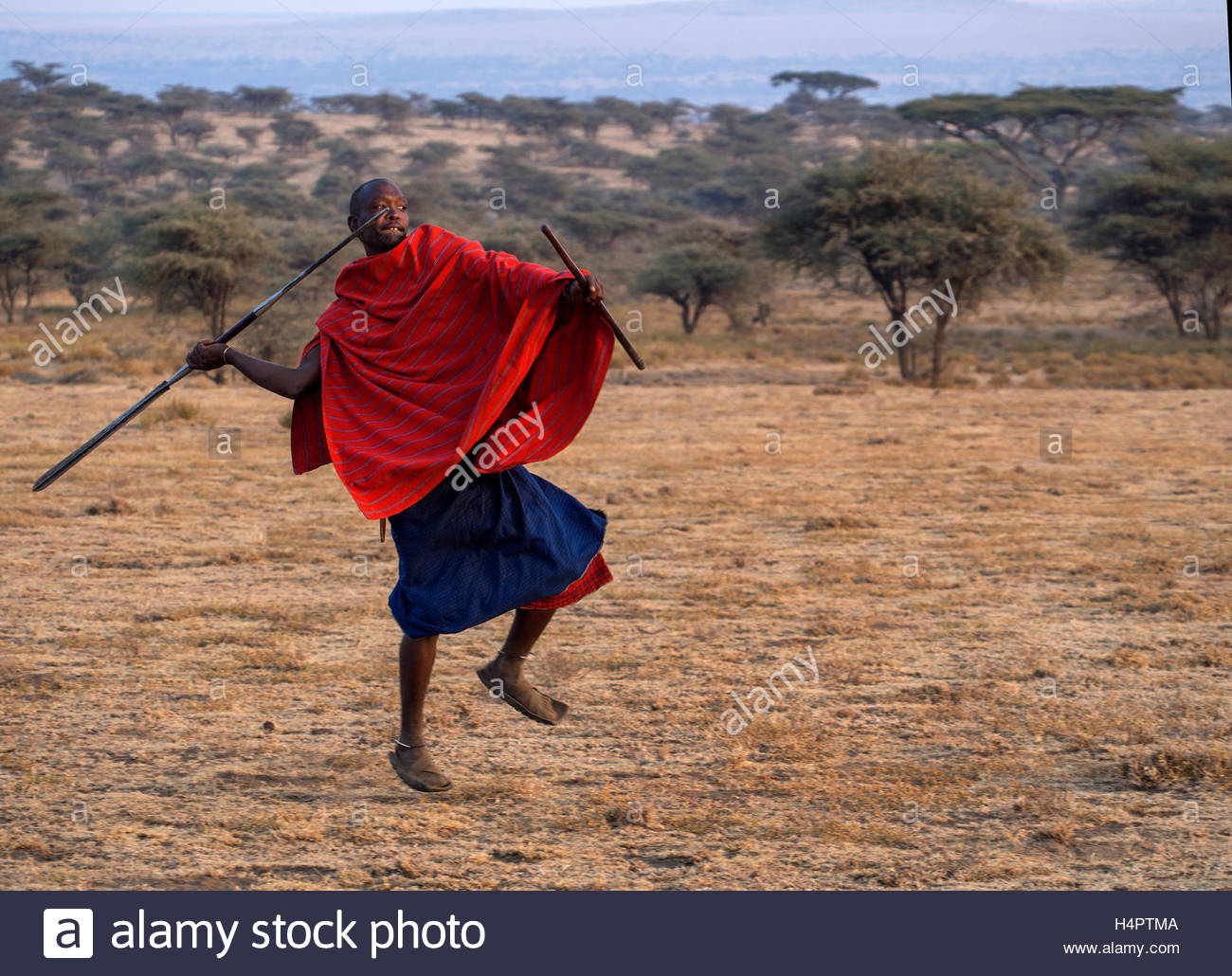 A Maasai warrior, in traditional red Maasai robe, throwing his spear ...