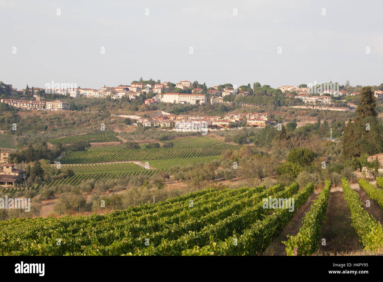 Panzano hi-res stock photography and images - Alamy