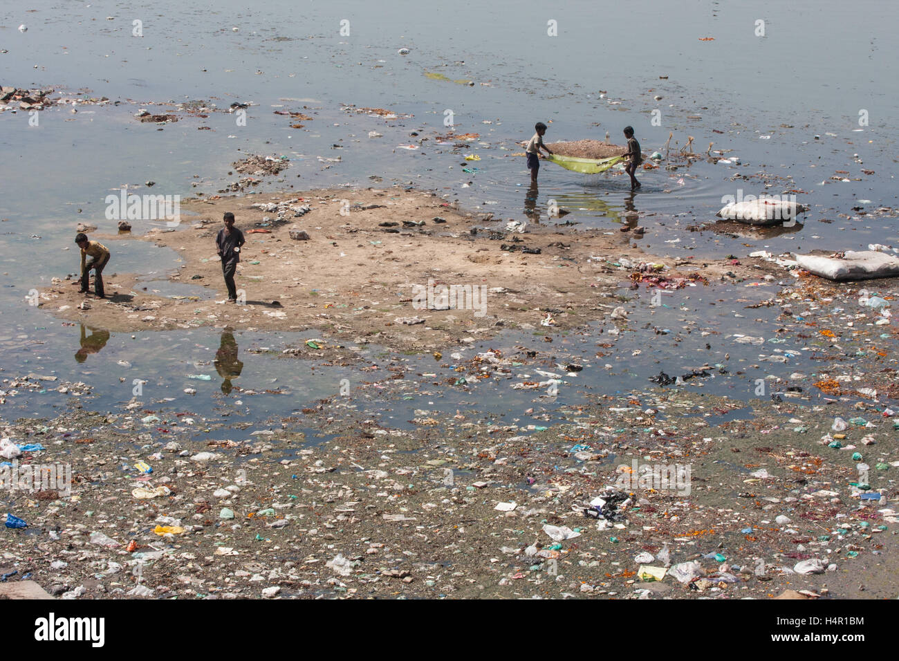 Children playing in filthy and polluted River Sabarmati in the centre ...