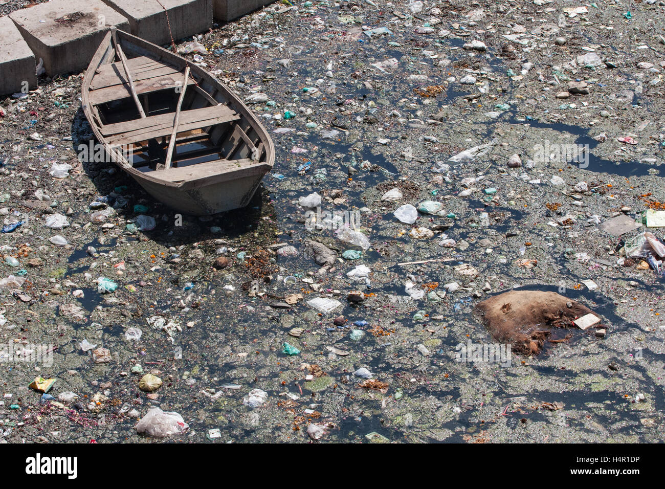 Children playing in filthy and polluted River Sabarmati in the centre ...
