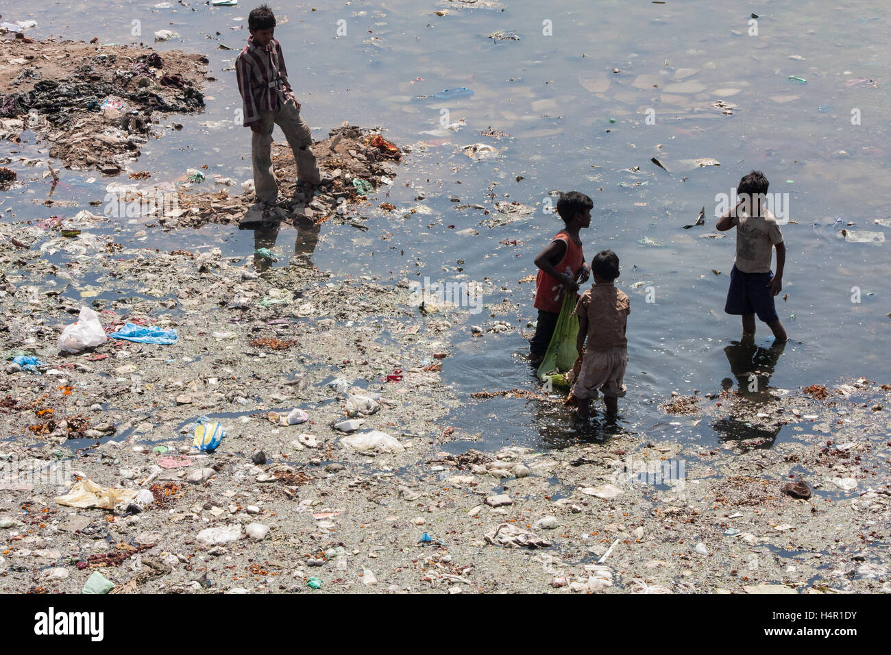 Children playing in filthy and polluted River Sabarmati in the centre ...