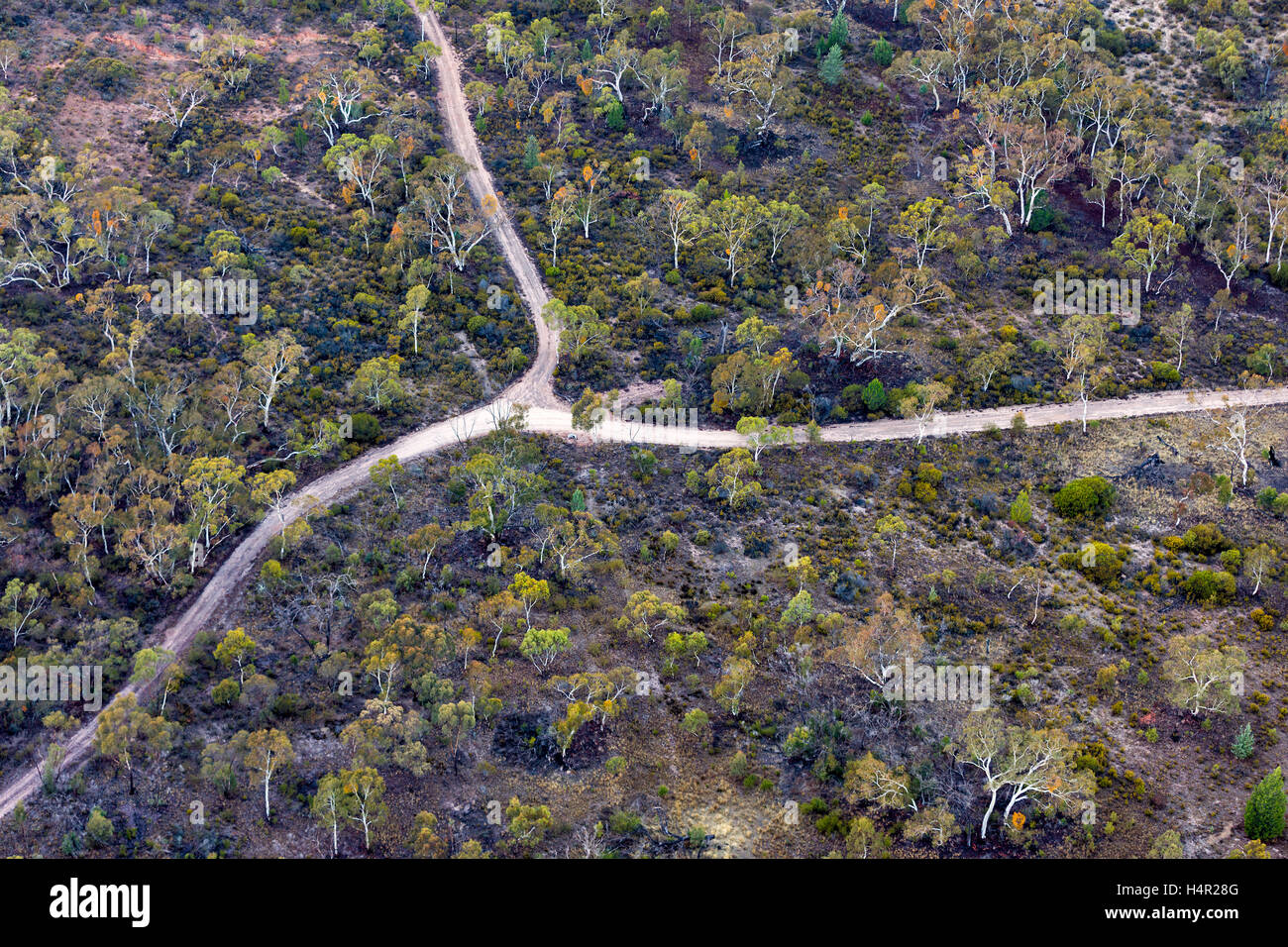 Australian bushland hi-res stock photography and images - Alamy