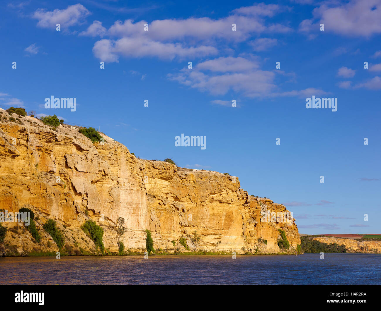 Bank of Murray River at Walker Flat on the lower reaches of the Murray ...