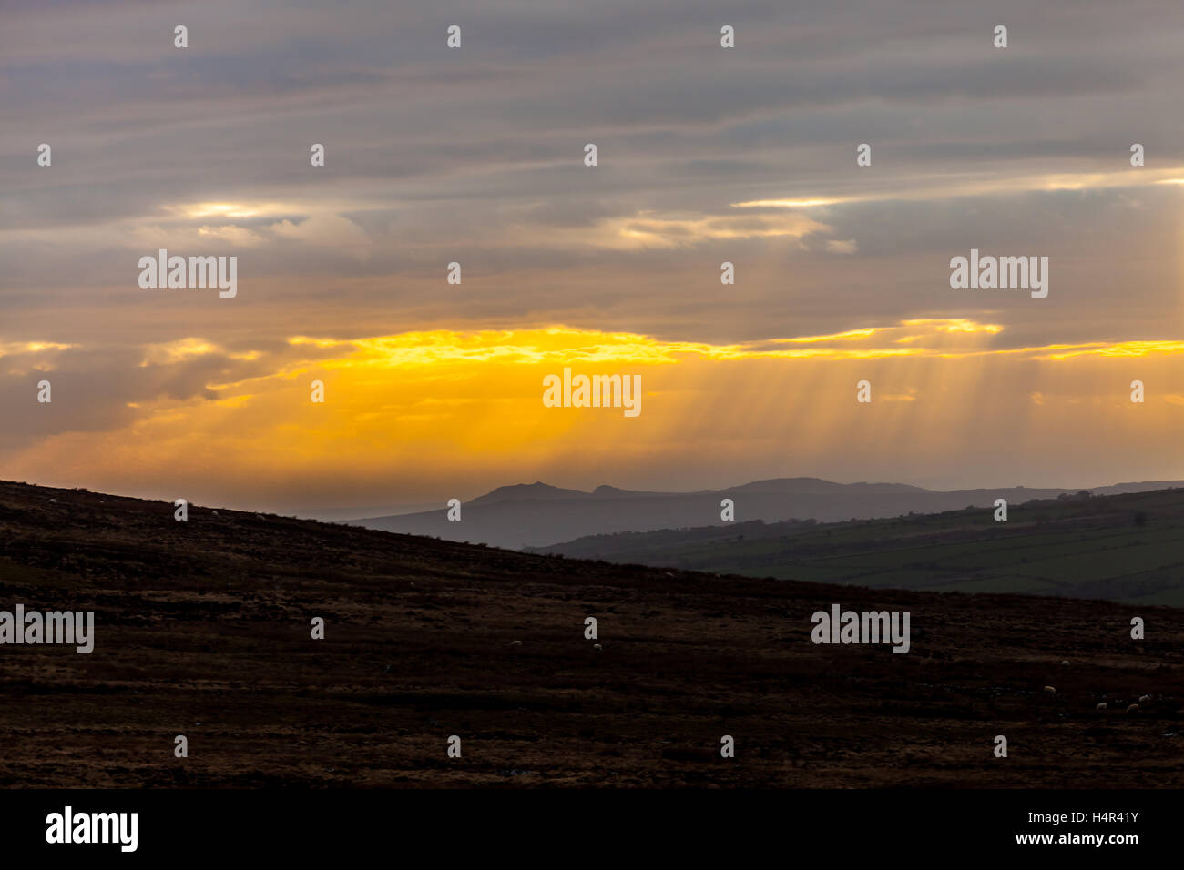 Preseli Mountain High Resolution Stock Photography and Images - Alamy