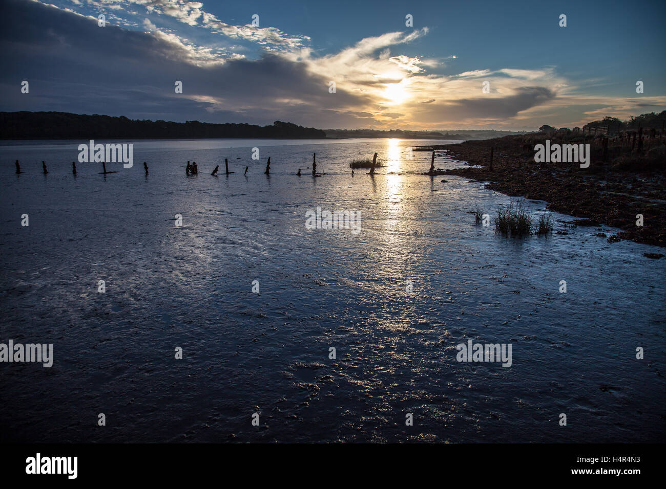 Cleddau wales hi-res stock photography and images - Alamy