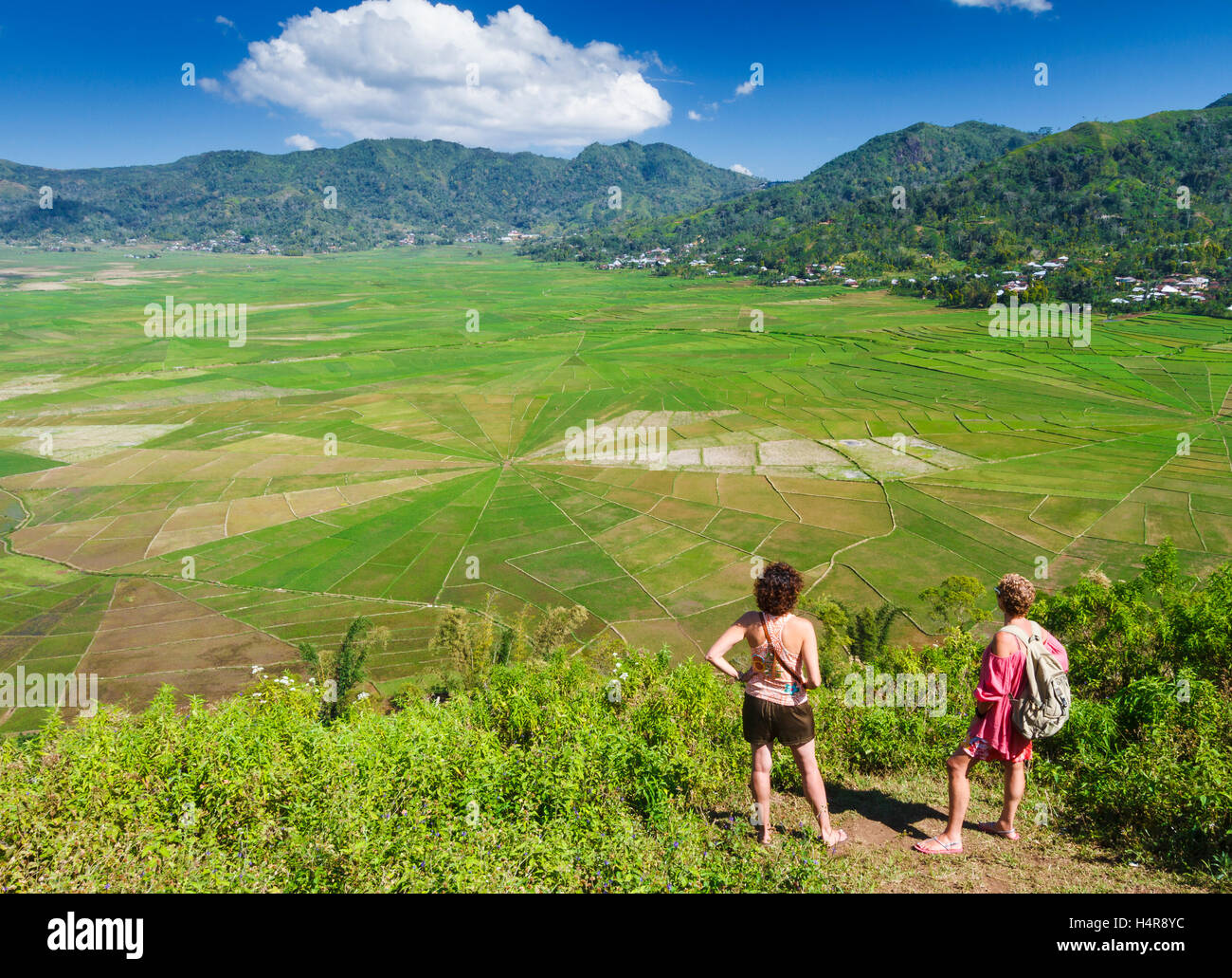 Tourists and spider web rice fields Stock Photo - Alamy