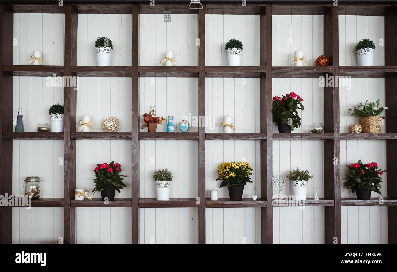 several buckets with plants on the shelf Stock Photo - Alamy