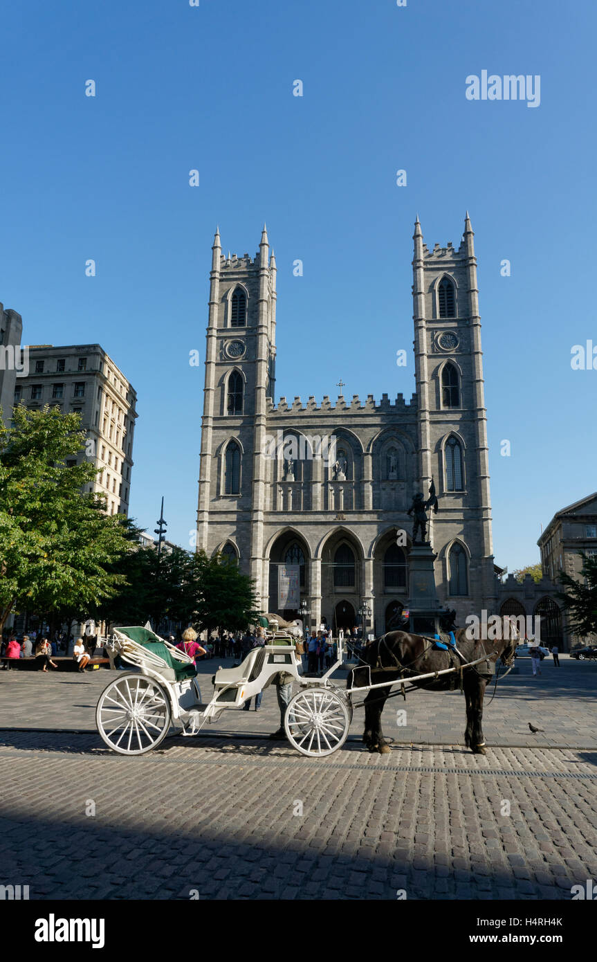 Notre dame basilica montreal hi-res stock photography and images - Alamy