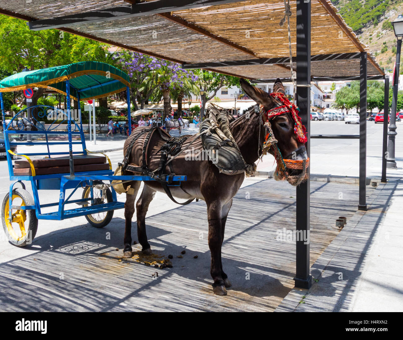 Donkey carriage hi-res stock photography and images - Alamy