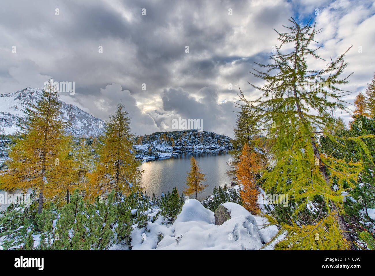 Seasons meet hi-res stock photography and images - Alamy