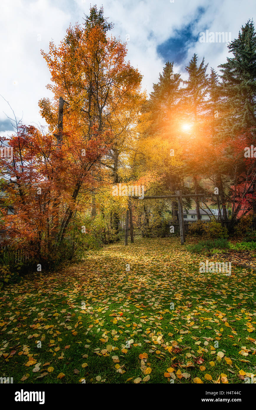 Ray of sunshine in autumn colors Stock Photo - Alamy