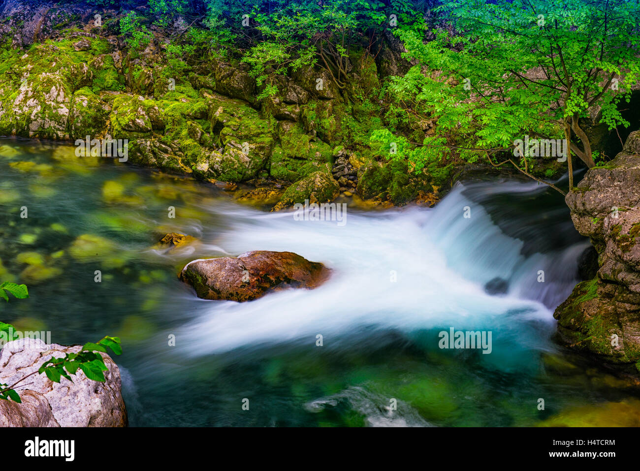 Birth of a mountain river Stock Photo - Alamy