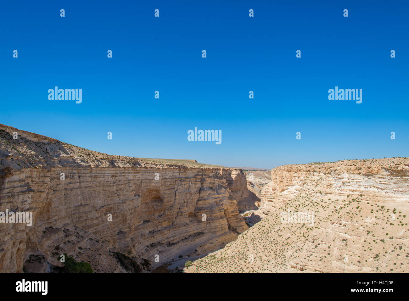 Canyon in the desert of the Negev, Israel Stock Photo - Alamy