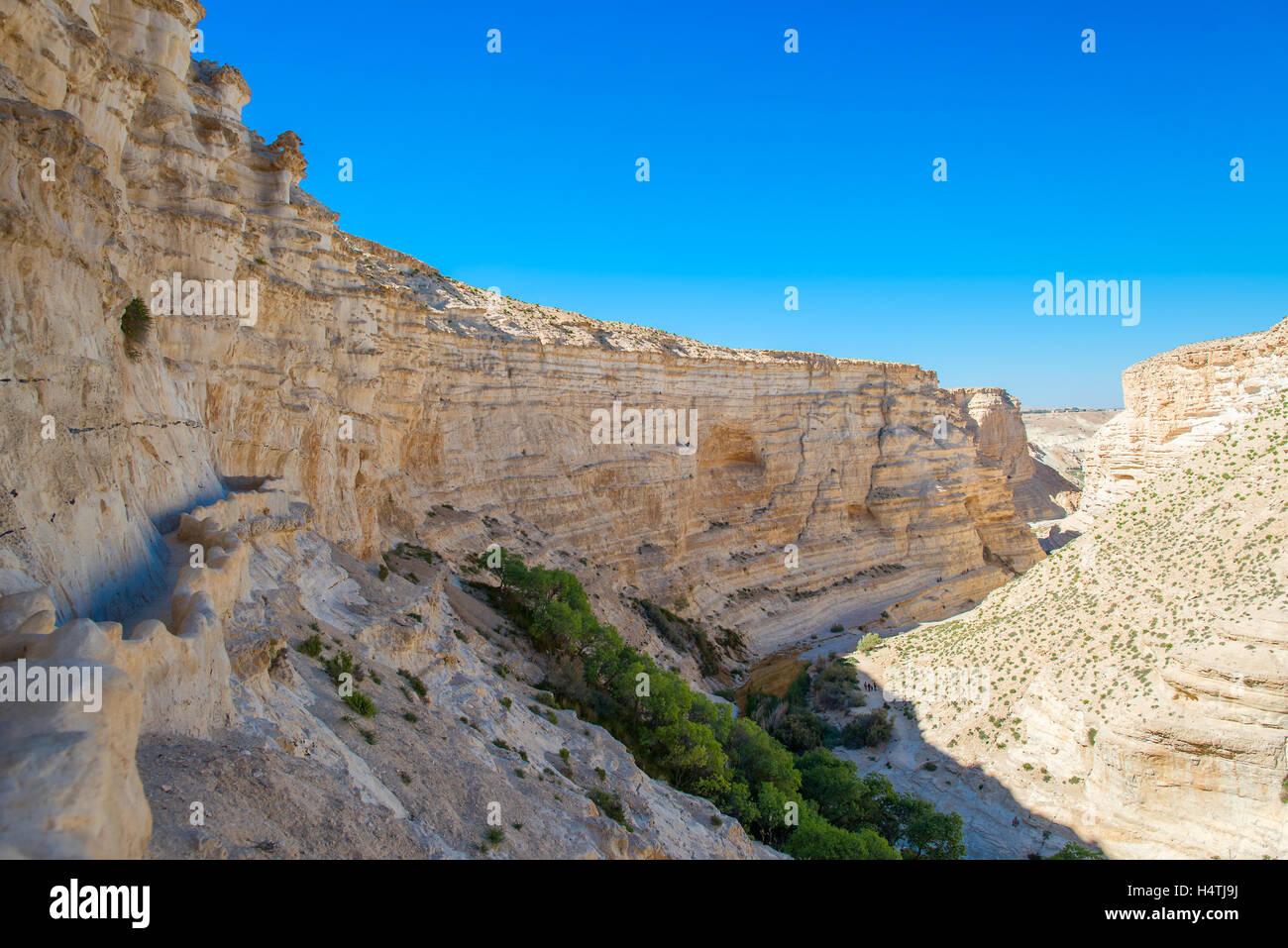 Canyon in the desert of the Negev, Israel Stock Photo - Alamy