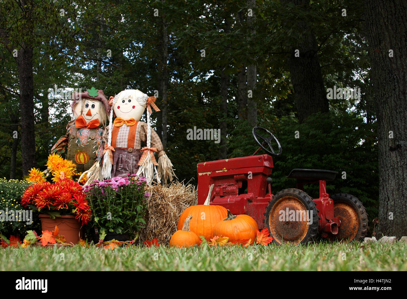 Scarecrows And Pumpkins Stock Photos & Scarecrows And Pumpkins Stock ...