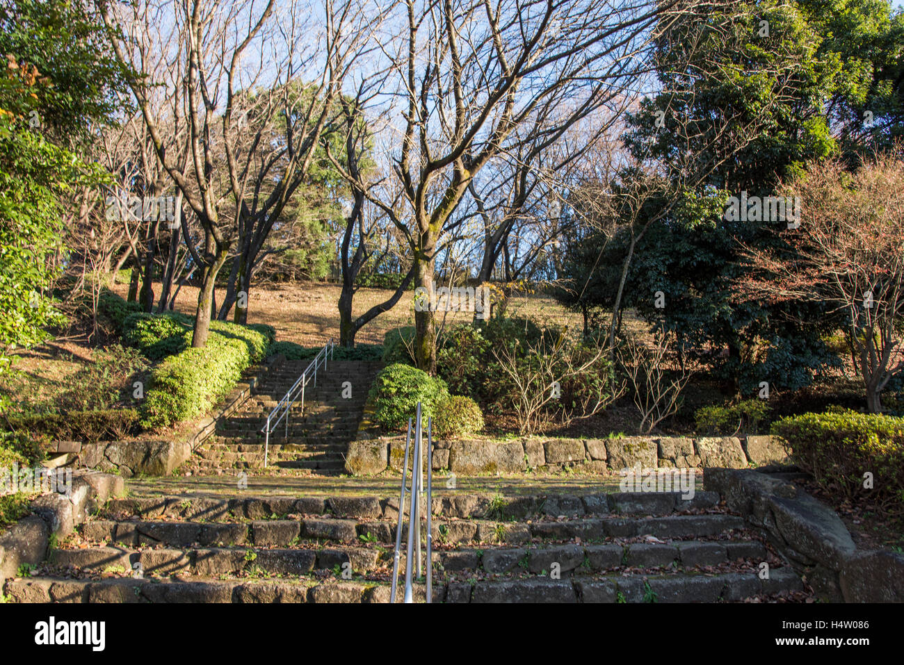 Panorama Hill, Tama City, Tokyo, Japan Stock Photo - Alamy