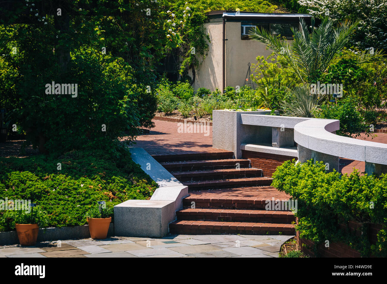 Brick walkways through gardens at the National Arboretum in Washington ...