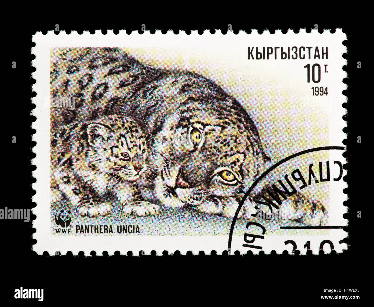 Postage stamp from Kyrgyzstan depicting a female snow leopard with cub ...