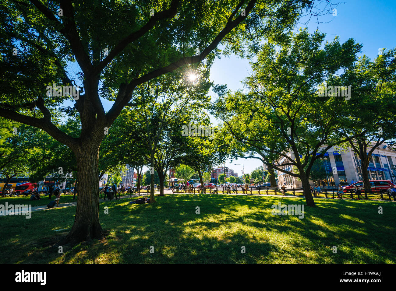 Dupont Circle Park, in Washington, DC Stock Photo - Alamy