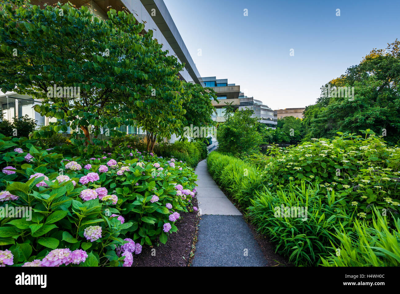 Embassy gardens landscape hi-res stock photography and images - Alamy