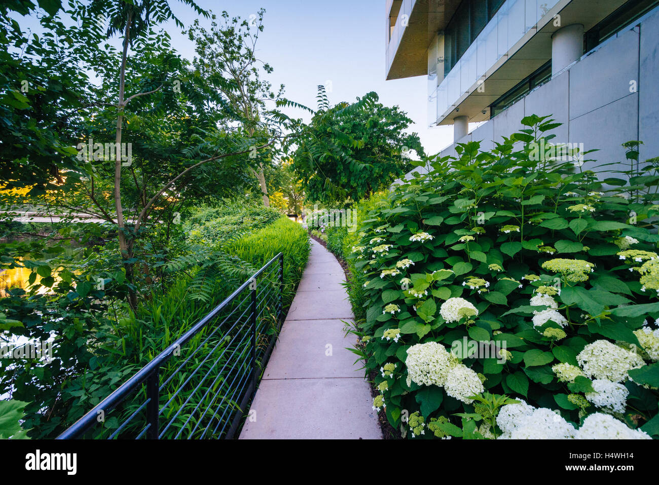 Embassy gardens landscape hi-res stock photography and images - Alamy