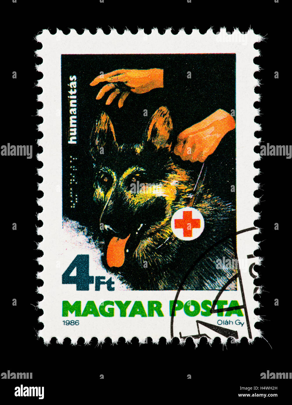 Blind stamp hi-res stock photography and images - Alamy