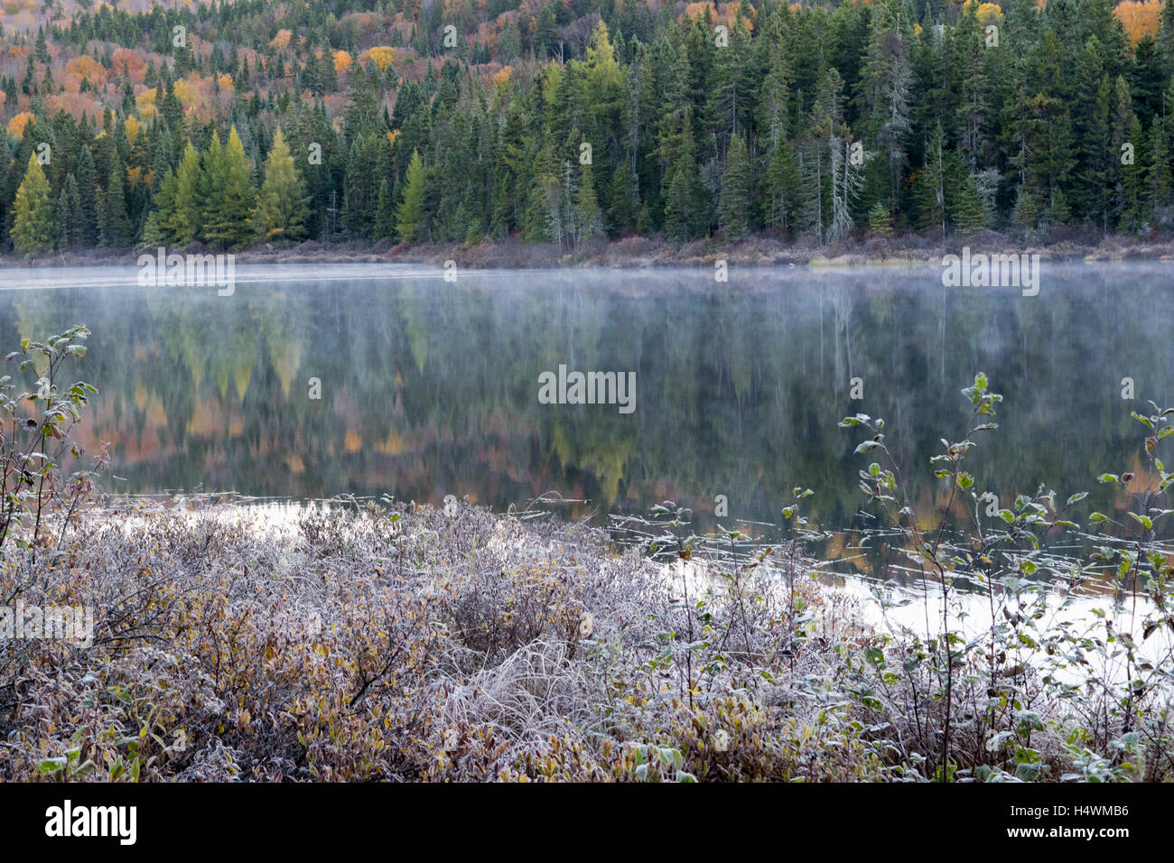 Fog rising from lake hi-res stock photography and images - Alamy
