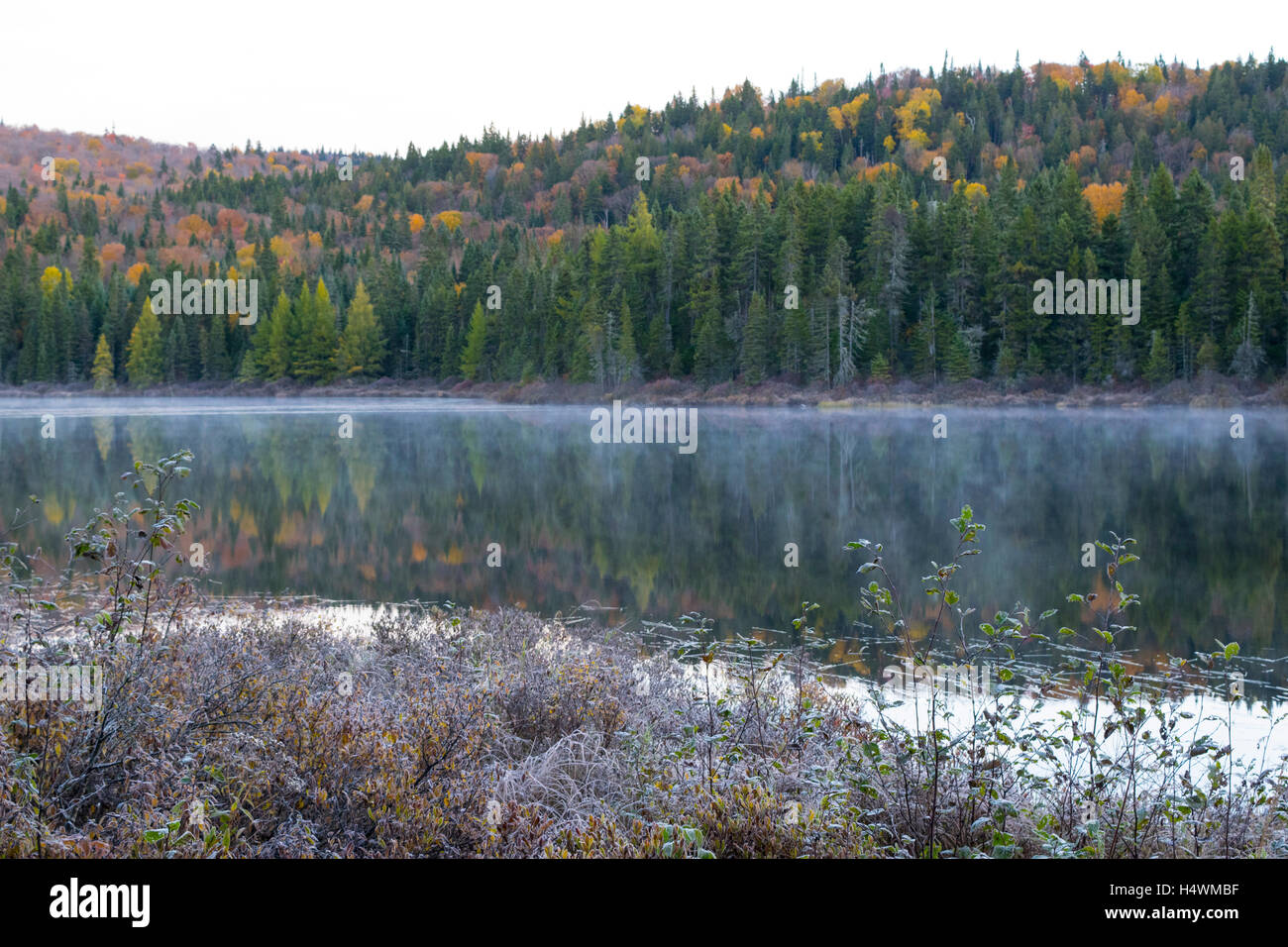 Fog rising from lake hi-res stock photography and images - Alamy