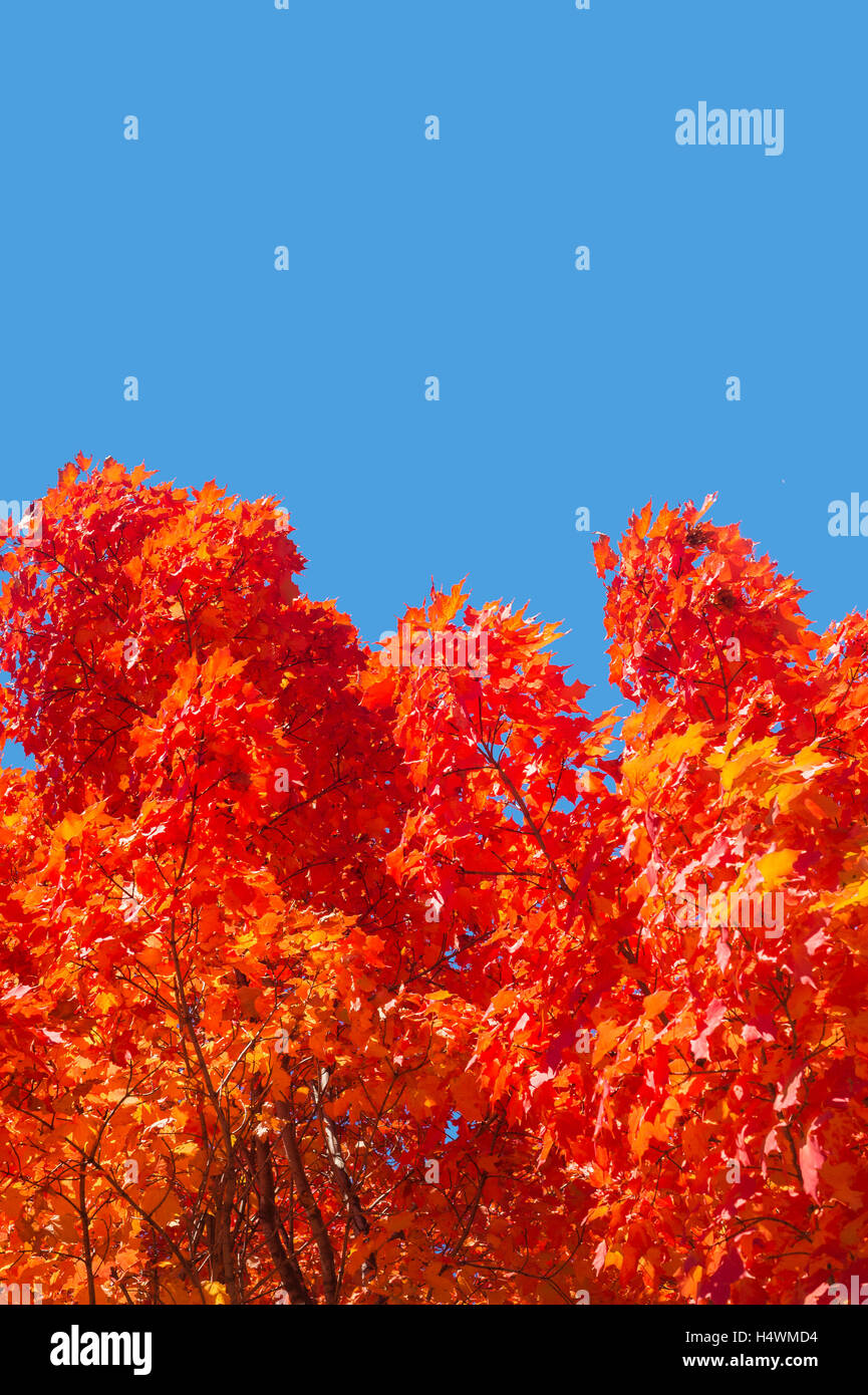 Canada colours hi-res stock photography and images - Alamy