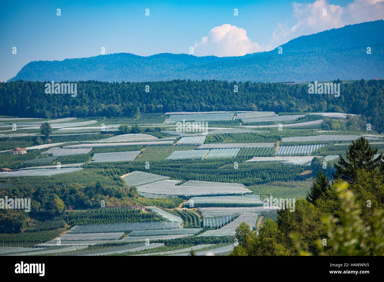 Cles trentino hi-res stock photography and images - Alamy