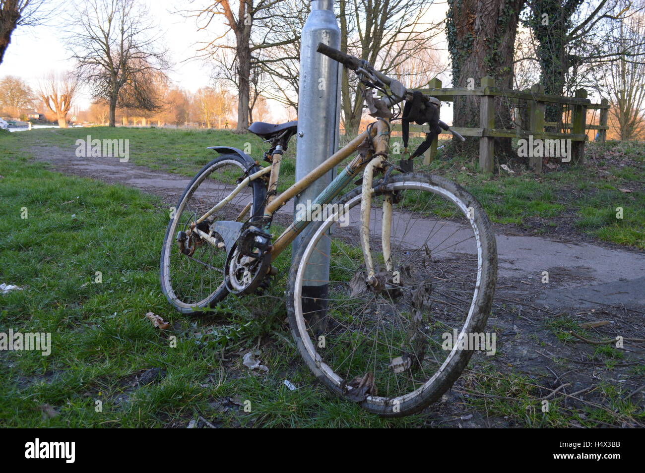 Cycle, Dumped, trash, broken, recovered, river, Cambridge, weed Stock ...