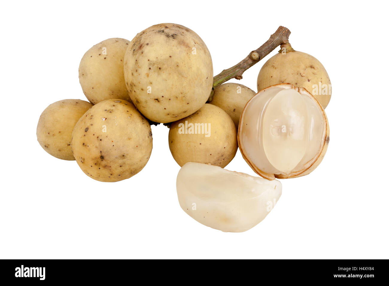 southern langsat fruit isolated on white with work paths Stock Photo ...