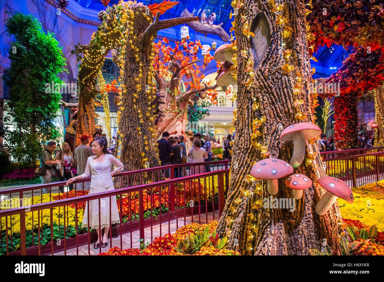 Fall season in Bellagio Hotel Conservatory & Botanical Gardens in Las ...