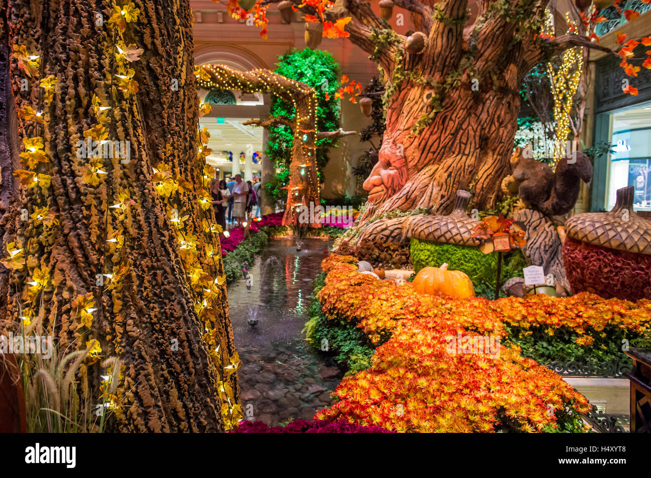 Fall season in Bellagio Hotel Conservatory & Botanical Gardens in Las ...
