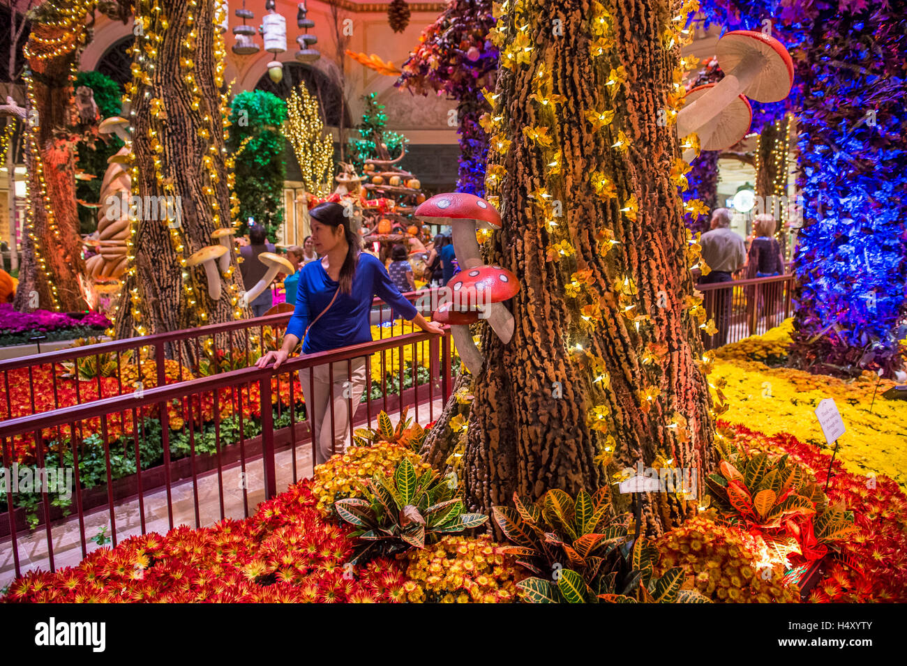 Fall season in Bellagio Hotel Conservatory & Botanical Gardens in Las ...
