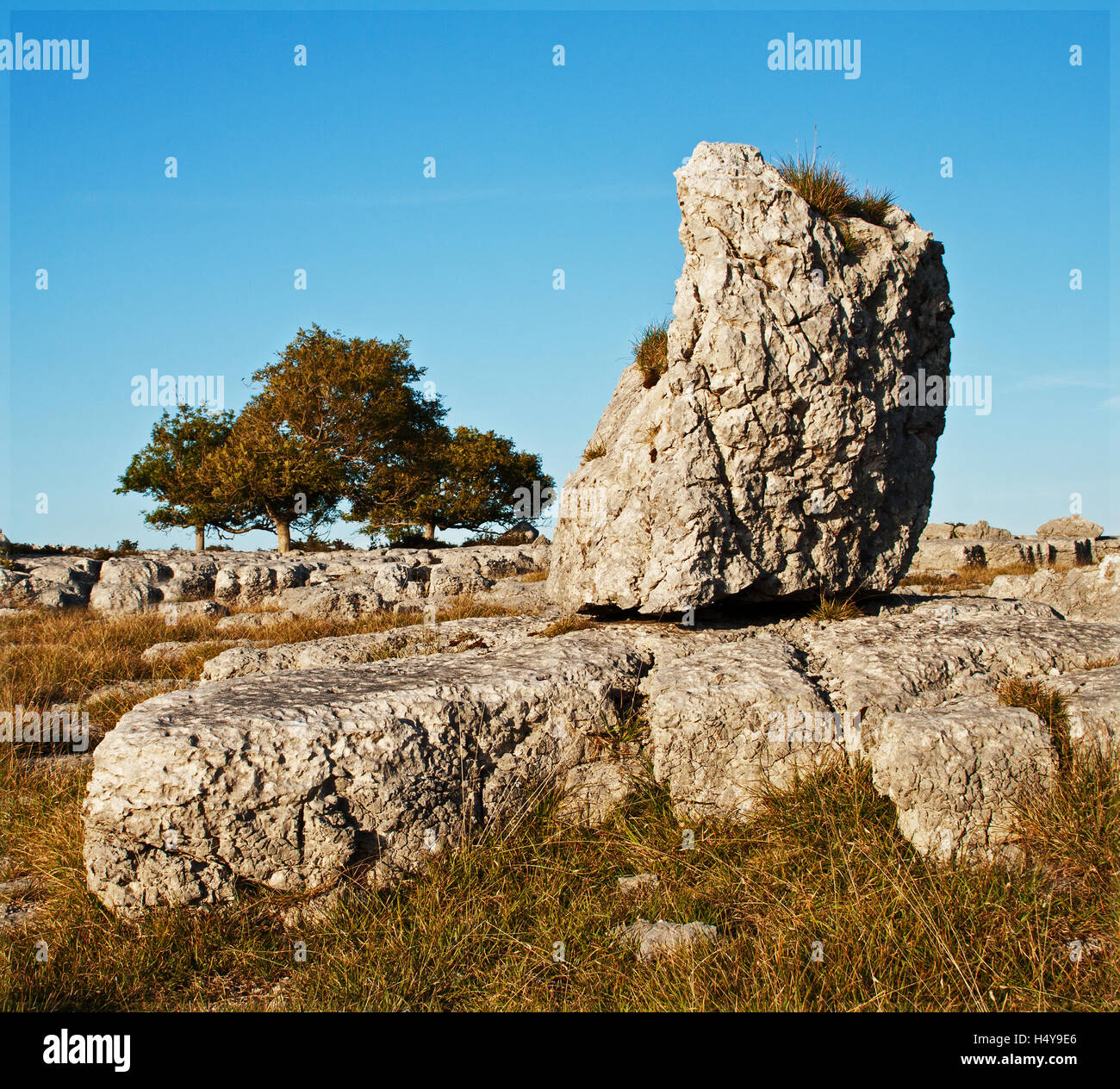 Glacial erratic huge hi-res stock photography and images - Alamy
