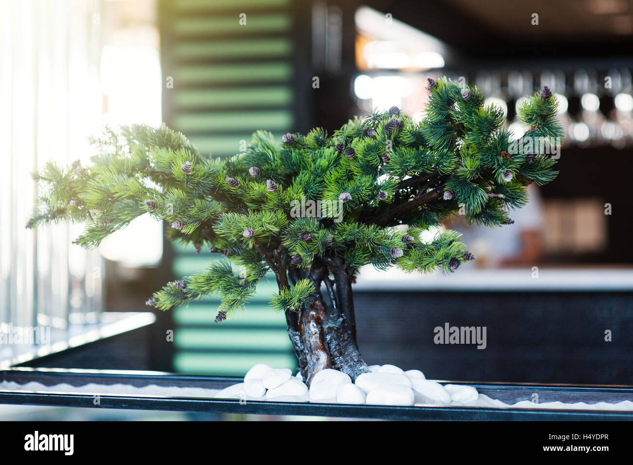 Mini christmas decorative fir tree in the office with cones Stock Photo ...