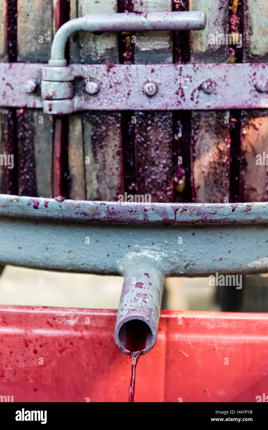 Hand squeezing grapes hi-res stock photography and images - Alamy