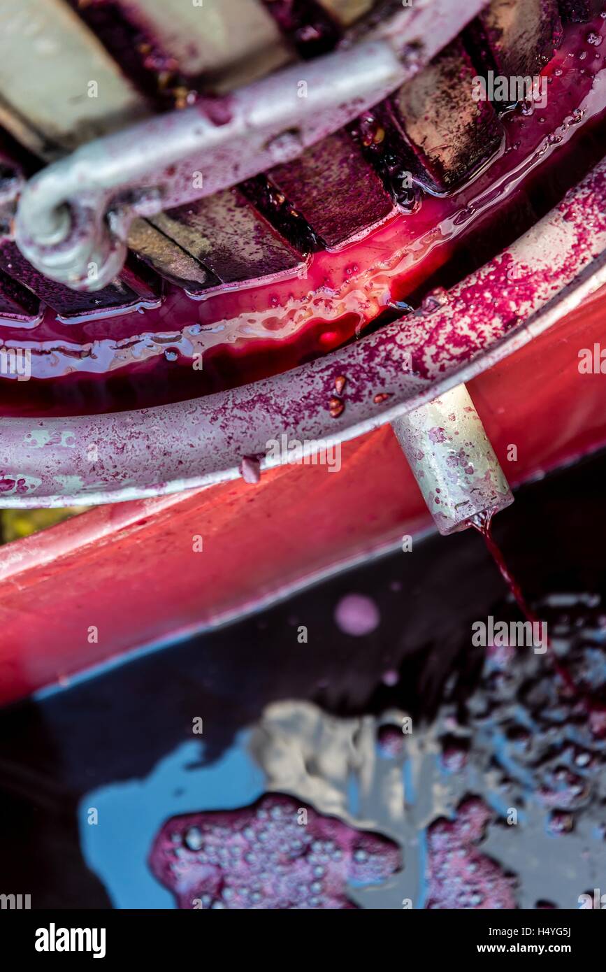 Wooden wine press with red must for pressing grapes to produce wine ...